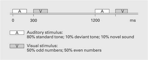An Illustration Of The Auditory Visual Distraction Paradigm Subjects Download Scientific
