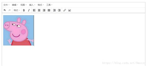 tinymce上传图片 csdn博客