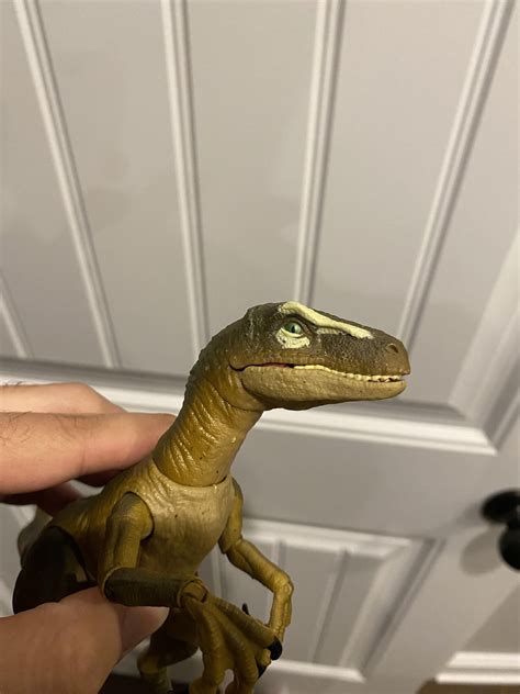 Amber Collection Modified Raptor Rhammondcollection