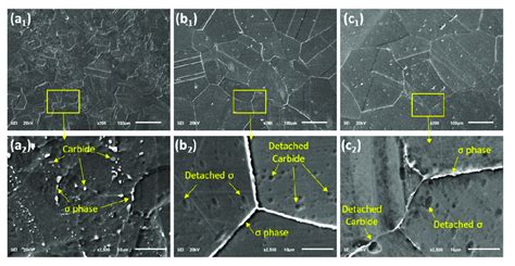 Sem Images Showing The Grains And The Grain Boundaries For Heat Treated
