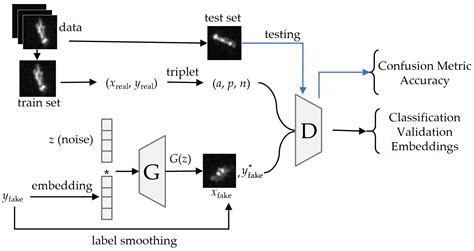 Label Smoothing Auxiliary Classifier Generative Adversarial Network
