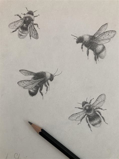Bees Rdrawing Bees Rdrawing