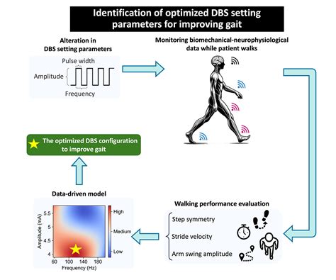 dbs parameter optimization for gait improvement wang lab unraveling