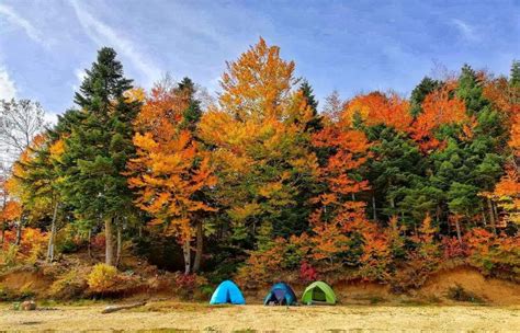 ფერადი რაჭა საოცარი თავგადასავალი რაჭალეჩხუმი 0 Gel ფენომენალური ტურები