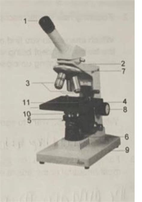 Solved E Identify The Parts Of A Compound Light Microscope