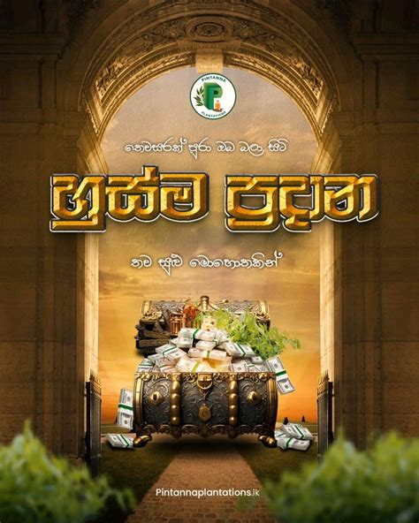 Pintanna Pintannaplantations Growtogreen2023 Agarwood Growwithpintanna Pintannaplantations