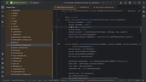 Intellij Idea Configurations Development Openelis Global