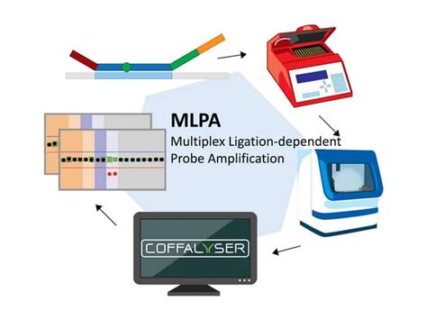 Mlpamultiple Ligation Dependent Probe Amplificationpptx Chemistry Science