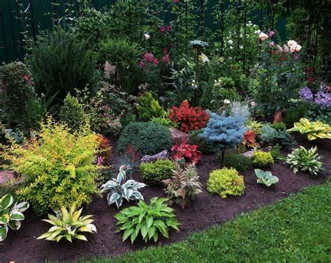 Как красиво посадить растения на участке 75 фото красивые картинки и Hd фото