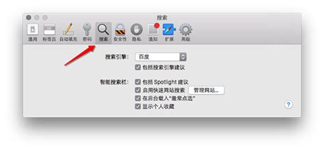 在mac中更改safari默认搜索引擎的具体步骤 天极下载