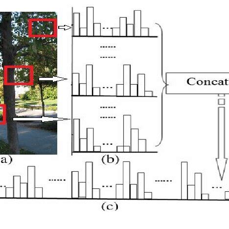 HOG Descriptor Histogram Concatenation Download Scientific Diagram