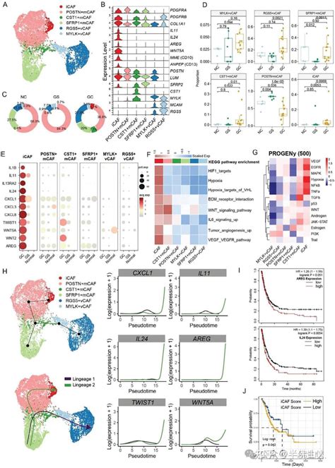 刚发表的14 3分1区生信，结合单细胞和空间转录组揭示肿瘤干细胞与免疫细胞和基质细胞的相互作用，值得收藏学习！ 知乎