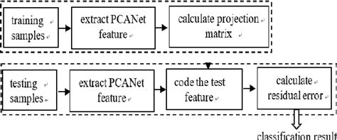 Figure 1 From A Novel Deep Learning Model For Palmprint Palmvein Recognition Semantic Scholar