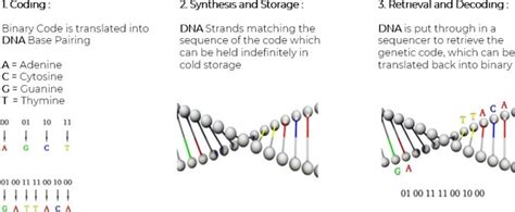 Dna The Future Of Data Storage Solutions Societe Generale India