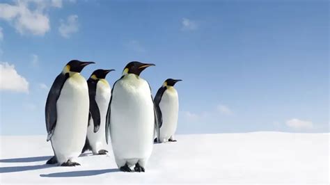 Linux Disk Commands Uğur AKÇIL