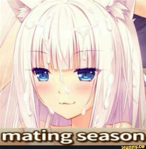 Mating Season Anime Amino