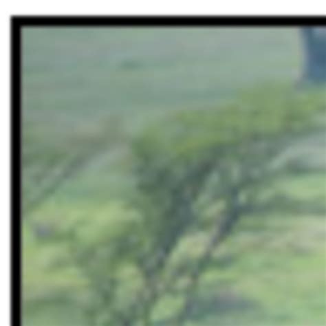 Cyclegan Training Weights Kaggle