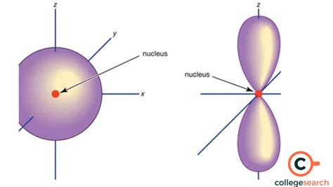 F Orbital Shape Definitions Orbital Chemistry Atomic Orbitals Examples Shape