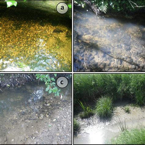 Illustrations Of Different Sediment Deposition Intensity Classes In Download Scientific