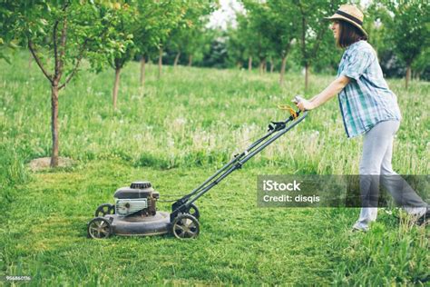 잔디 깍는 기계와 정원 원 예 트리밍 잔디에서 일 하는 젊은 여자 잔디 깎는 기계에 대한 스톡 사진 및 기타 이미지 잔디 깎는 기계 한 명의 여자만 녹색 Istock