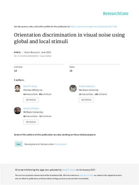 Pdf Orientation Discrimination In Visual Noise Using Global And Local