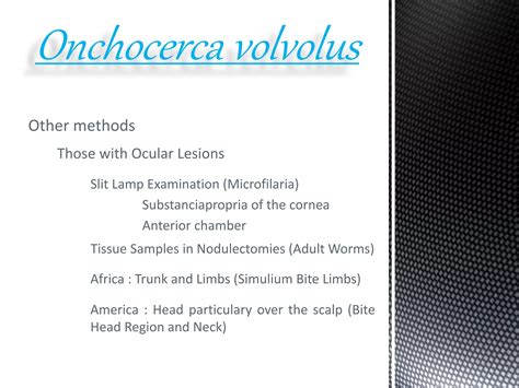 Onchocerca Volvulus Pptx Infectious Diseases Diseases And Conditions