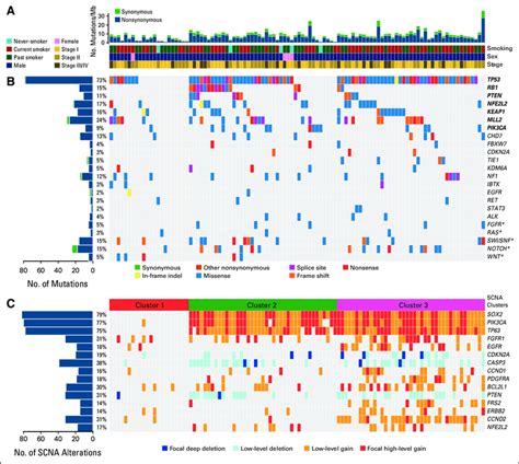 Clinicopathologic Characteristics And Genetic Aberrations Across 104