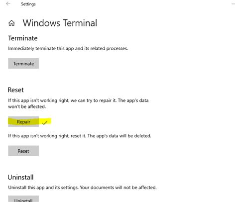 windows terminal quits immediately on start · issue 10248 · microsoft