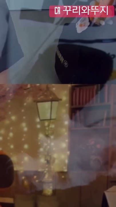 피숙님 그리워할 때 뜬 그들 꾸리와뚜지 라이브방송 차분하고 노래도 들려주고 소통도 잘하고 좋은거 같아요 Youtube