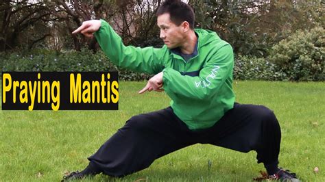 Shaolin Kung Fu Wushu Praying Mantis For Beginners Step by Step ...