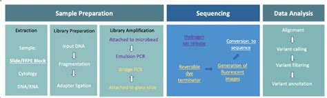 Workflow From Sample Preparation To Data Analysis Download Scientific Diagram
