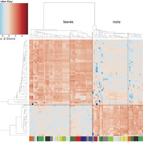 Heatmap Analysis Combined With Hierarchical Cluster Analysis Of The Download Scientific Diagram