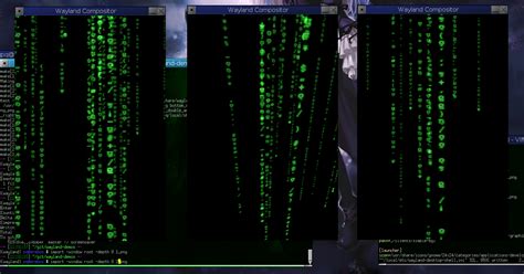pekka paalanen wayland screensaver integration