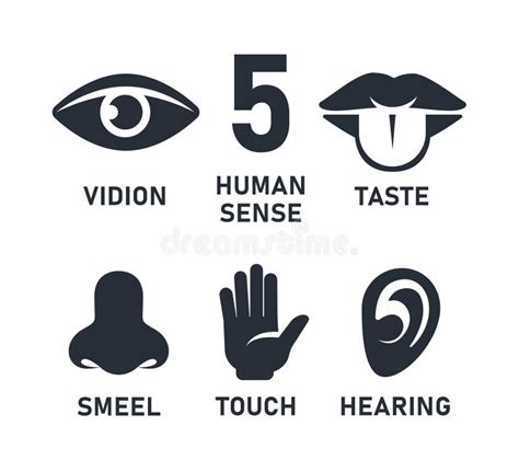 Set Of Five Human Senses Vision Hearing Smell Taste And Touch Stock Vector Illustration Of