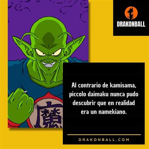Curiosidades De Piccolo Daimaku