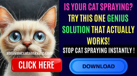Ideal Litter Box Setup To Prevent Cat Urine Marking Stop Your Cat Spraying