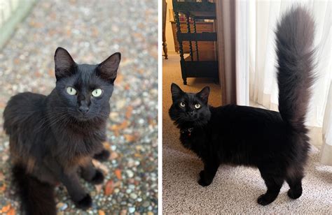 The Difference 6 Months Can Make Scrolller