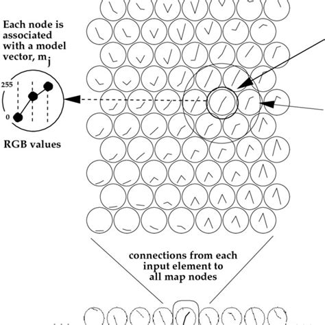 the basic architecture of the self organizing map som the input x is