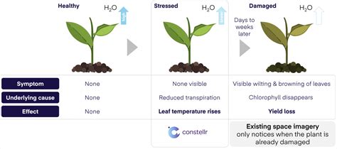HiVE Microsatellite Constellation EoPortal