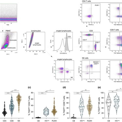 Tigit Expression On Immune Cell Subsets From Cord Blood And Peripheral