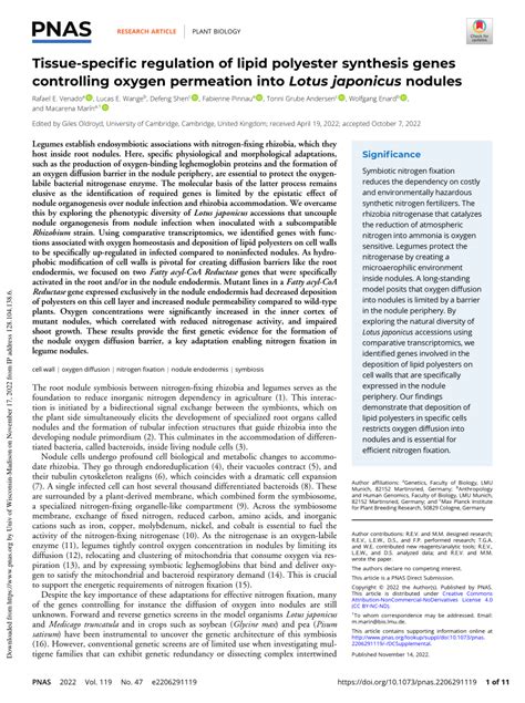 Pdf Tissue Specific Regulation Of Lipid Polyester Synthesis Genes Controlling Oxygen