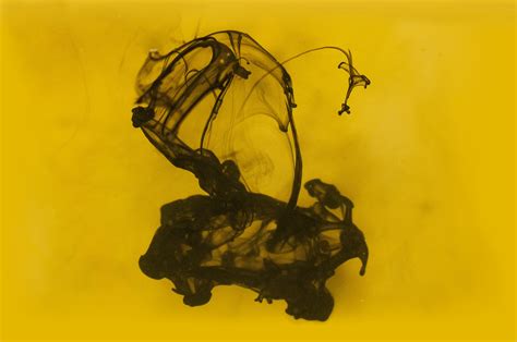 Total Body Water Compartments And Osmolarity Quiz