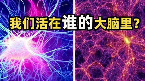 为什么人脑和宇宙结构惊人相似，我们是否生活在巨型生物大脑中？ 环球秘闻 环球秘闻 哔哩哔哩视频
