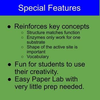 Enzyme Structure And Function Modeling With Construction Paper
