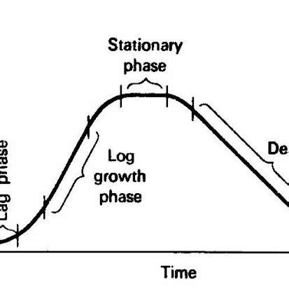 Typical Growth Of Curve I The Lag Phase The Lag Phase Represents The Download Scientific