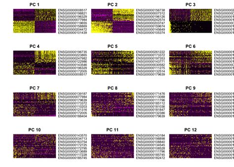 seurat pbmc 3k tutorial using tenxpbmcdata