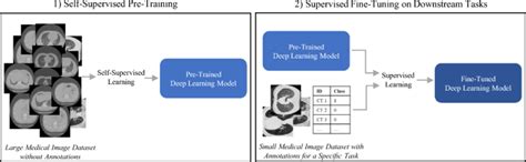 self supervised pre training with contrastive and masked autoencoder