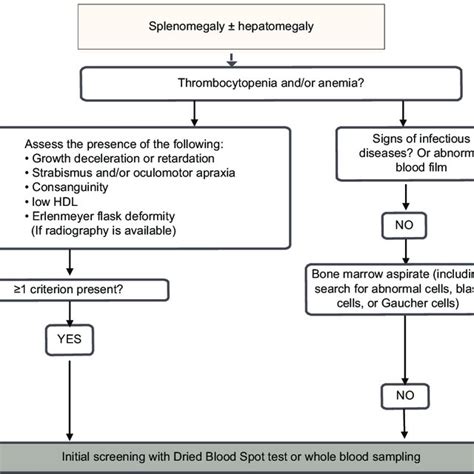 A Diagnostic Algorithm Draft For Early Diagnosis In Pediatric Patients
