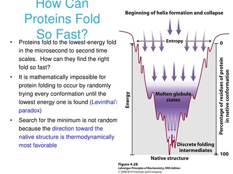 Ppt Chapter 4 Proteins Structure Function Folding Powerpoint