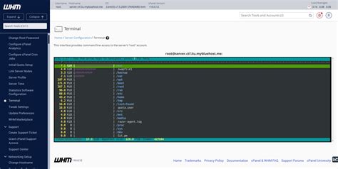 How To Clean Up Disk Space On Cpanel WHM Based VPS Servers BinaryTides